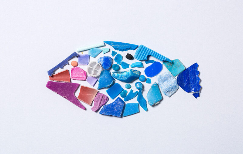Regulation to reduce microplastic pollution awaiting publication in the ...